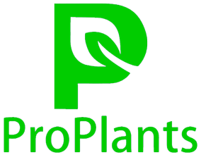 ProPlants Nursery - Pro Plants