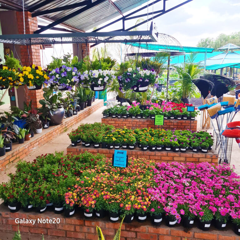 ProPlants Nursery - Pro Plants