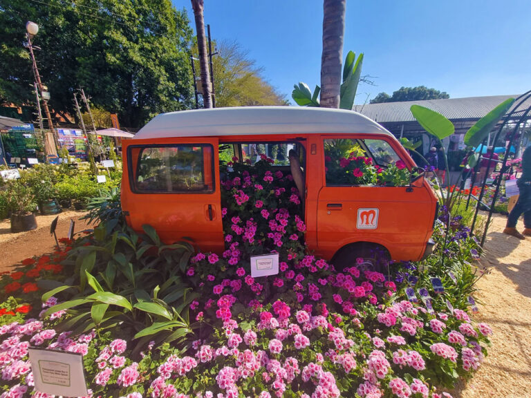 ProPlants Nursery - Pro Plants